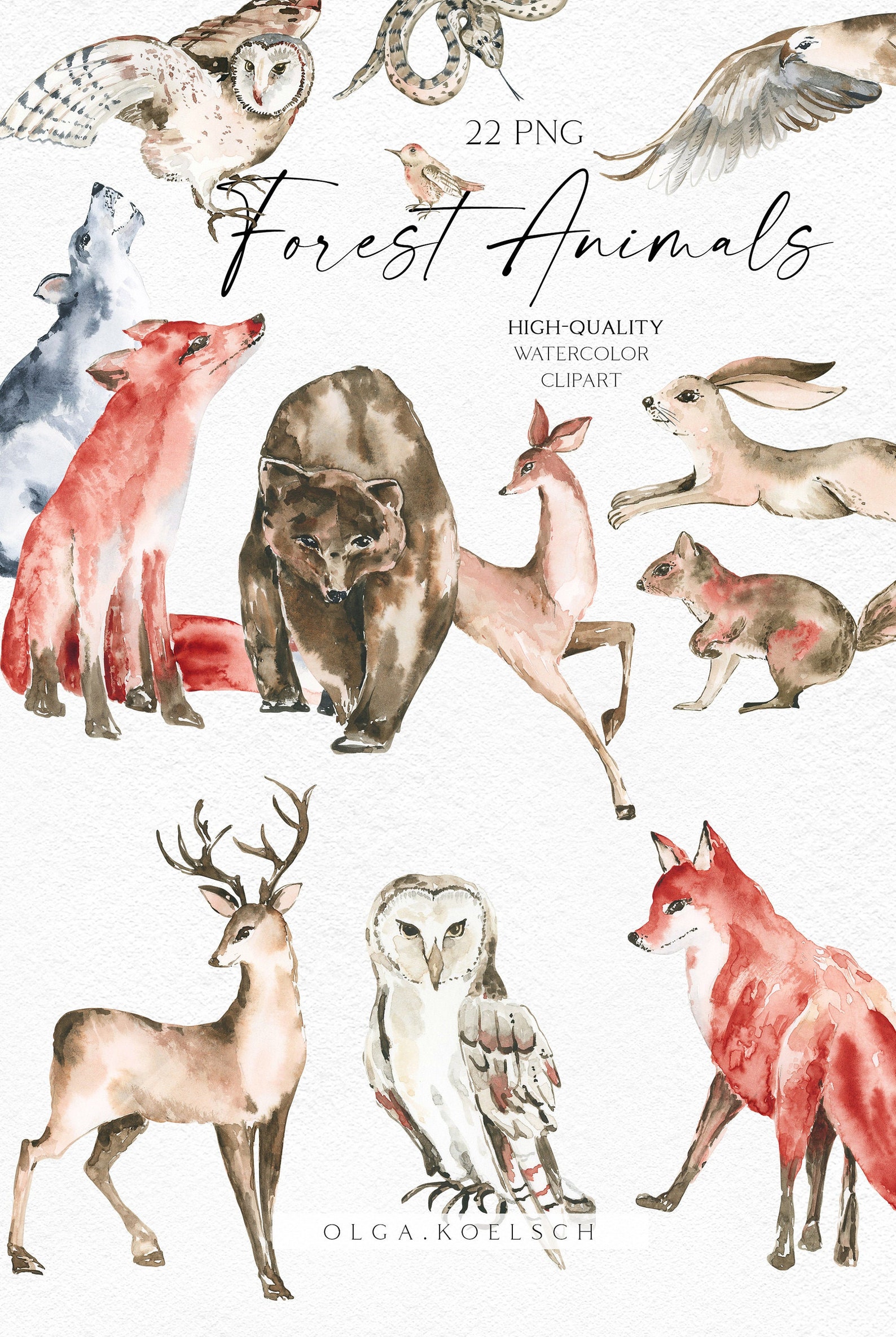 Watercolor Woodland Creatures Clipart Cute Animals Clipart - Etsy
