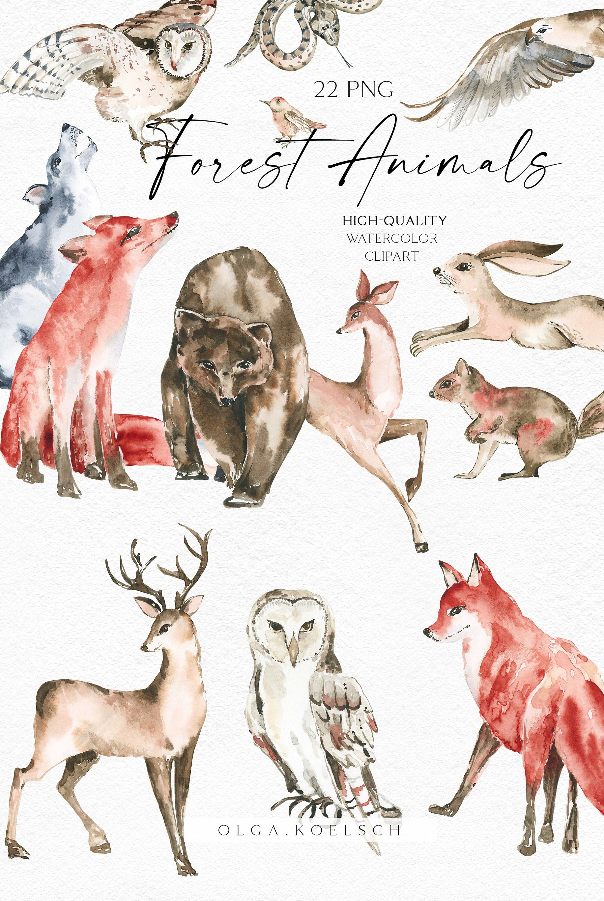 Watercolor Woodland Creatures Clipart Cute Animals Clipart - Etsy