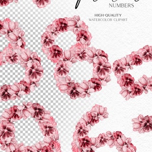 FREEBIE Clipart, Watercolor Floral Numbers Clipart, Birthday Pink ...