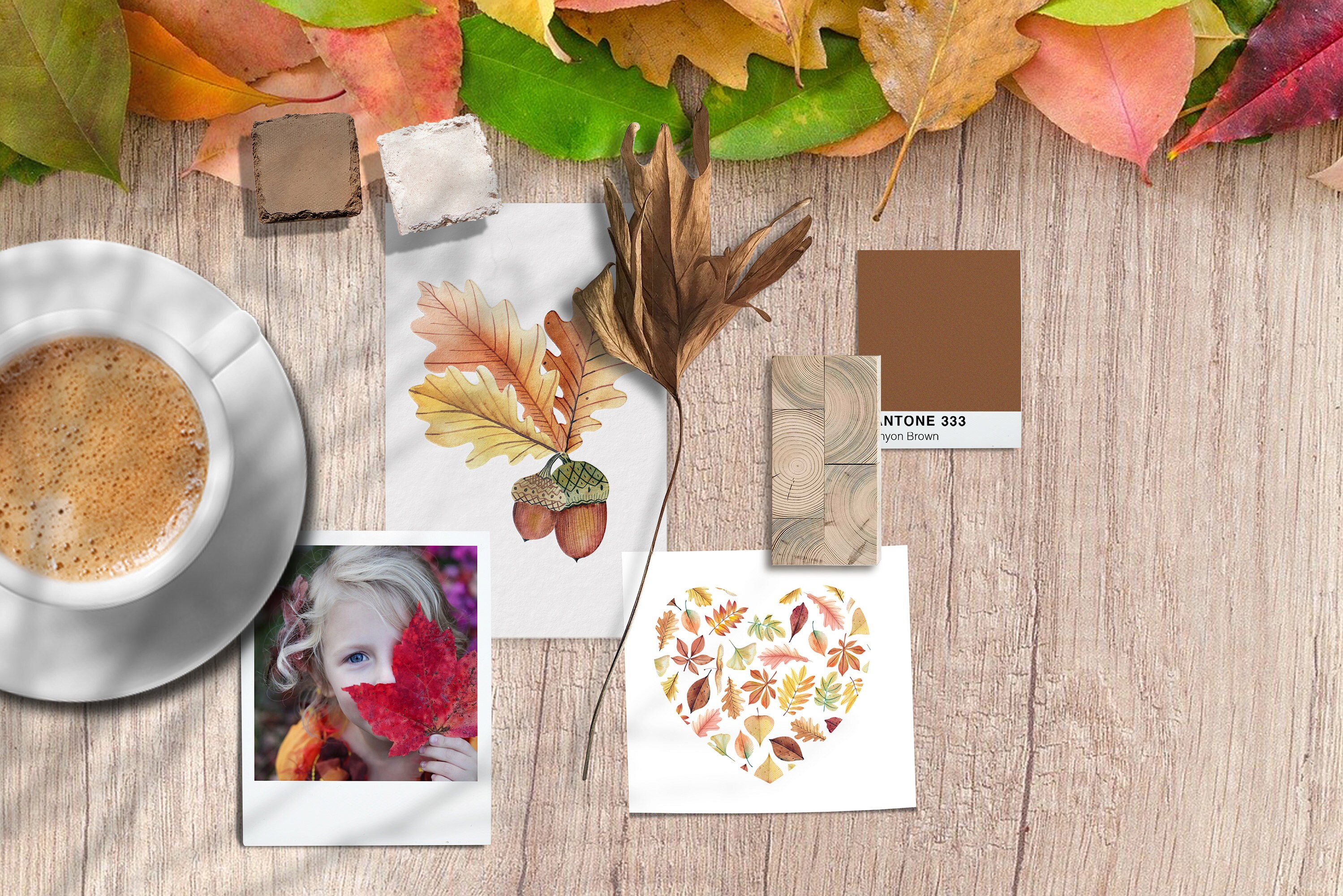 Watercolor Autumn Leaves Clipart Cute Fall Clipart for | Etsy