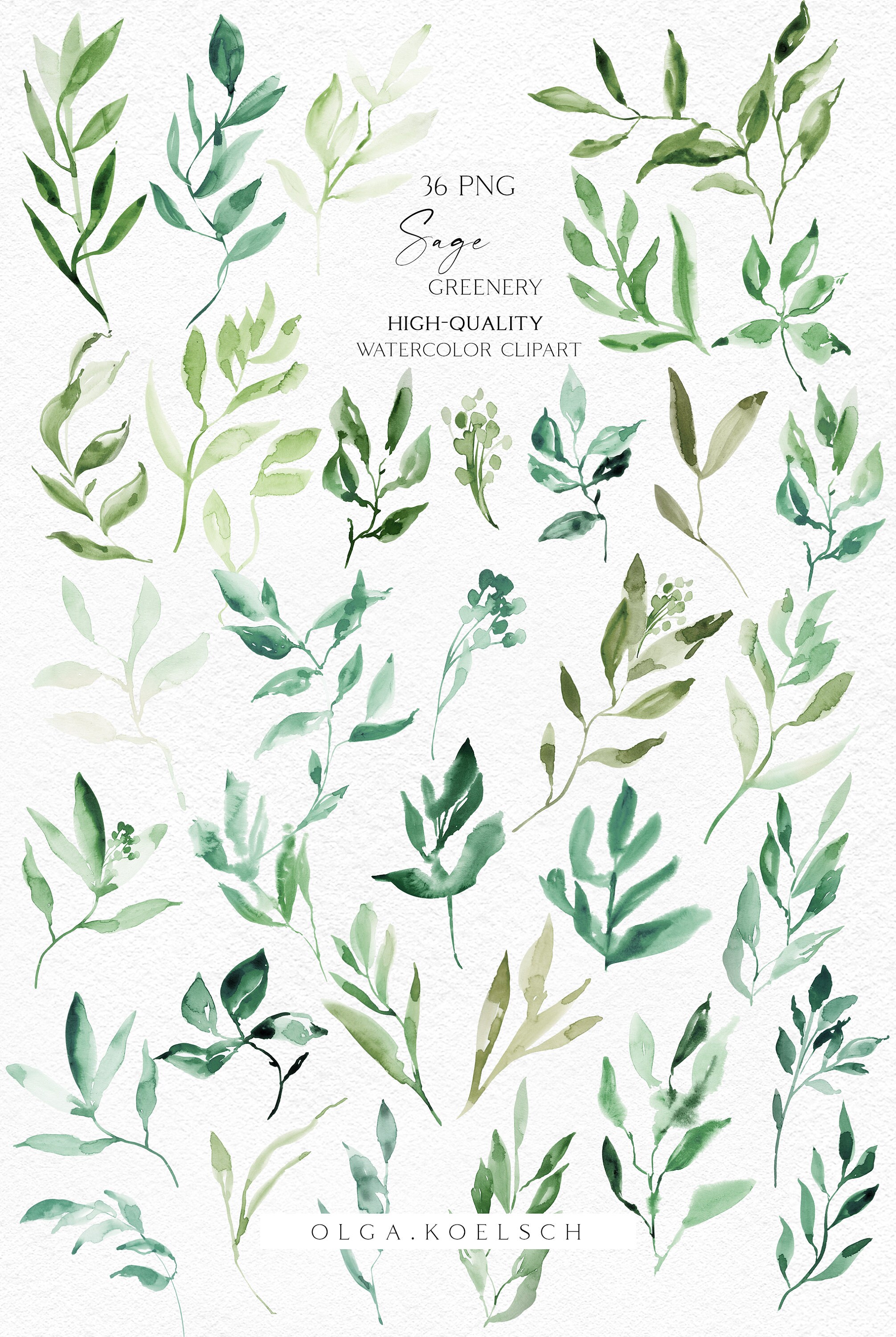 Watercolor Boho Greenery Clipart Grass Greenery Png - Etsy