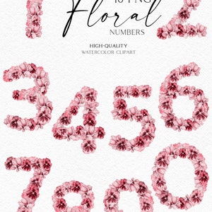 FREEBIE Clipart, Watercolor Floral Numbers Clipart, Birthday Pink ...