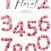 FREEBIE Clipart, Watercolor Floral Numbers Clipart, Birthday Pink ...
