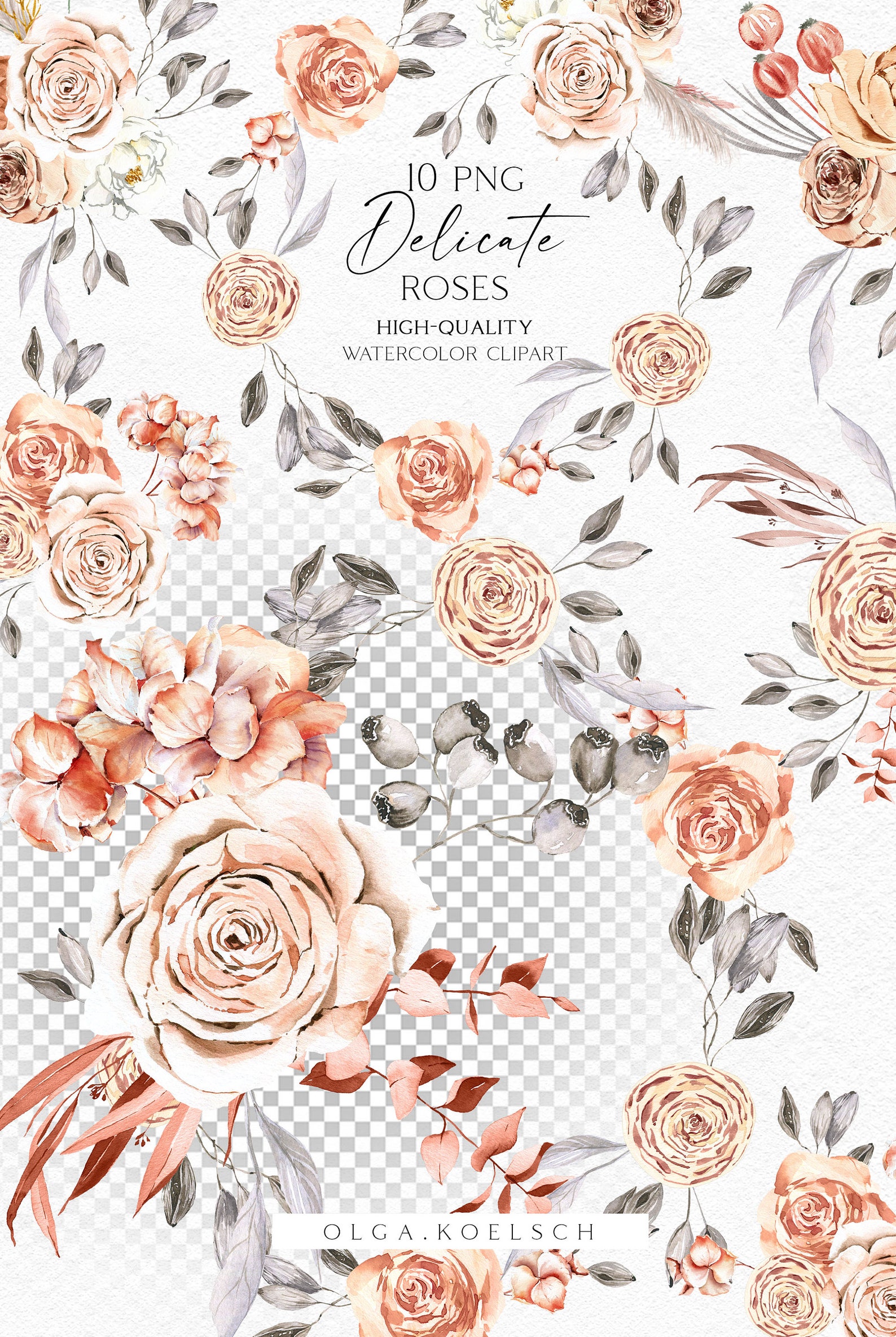 Watercolor Boho Roses Clipart. Boho Floral Frames Png. - Etsy
