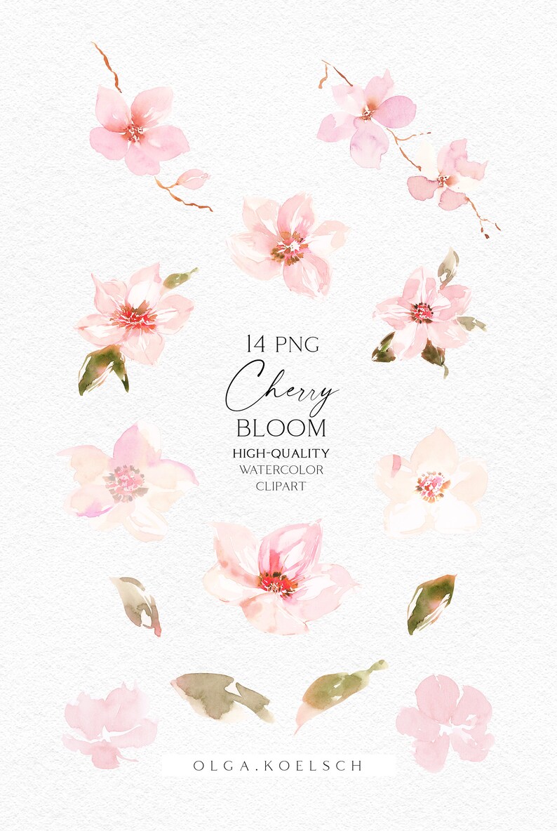Cherry Blossom Clipart. Watercolor Sakura Blossom Png Pink - Etsy