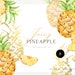 Watercolor Pineapple Clipart. Cute Pineapple Png. Tropical Fruits ...
