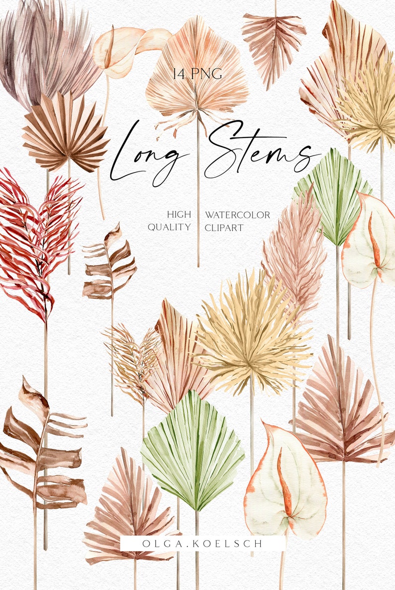 Watercolor Boho Flower Clipart Tropical Clipart for Summer - Etsy