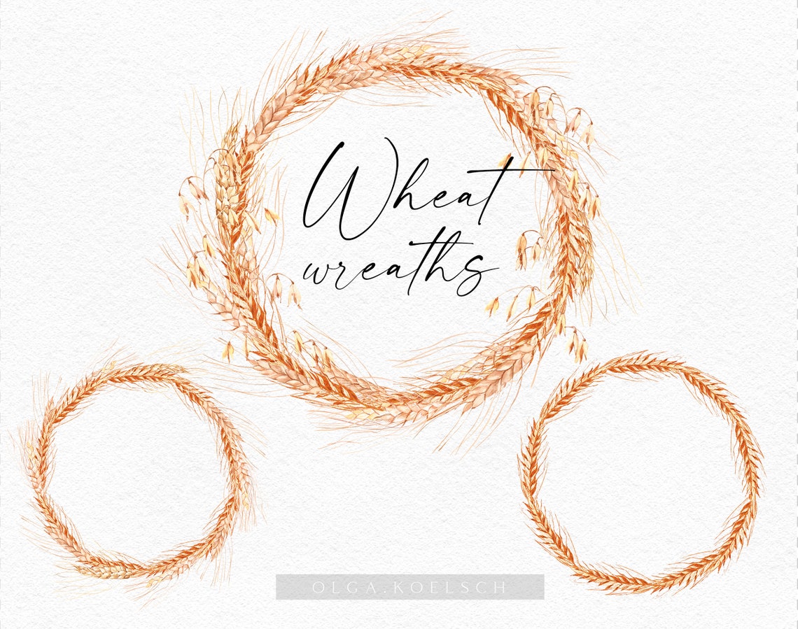 Watercolor Wheat Clipart Oatmeal Barley Clipart. Wheat - Etsy