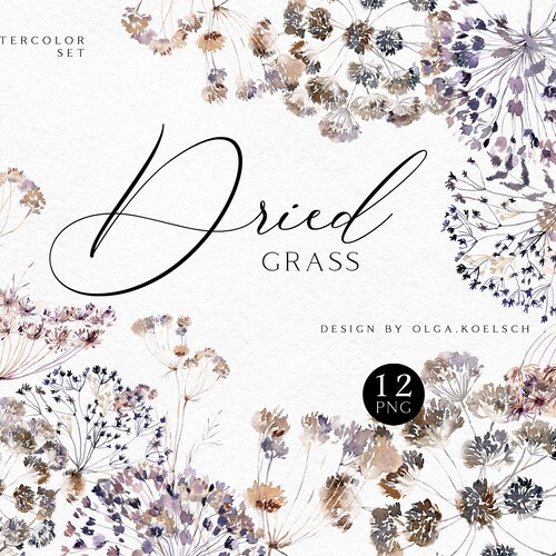 Watercolor Boho Clipart Dried Flowers Clipart Boho Floral - Etsy