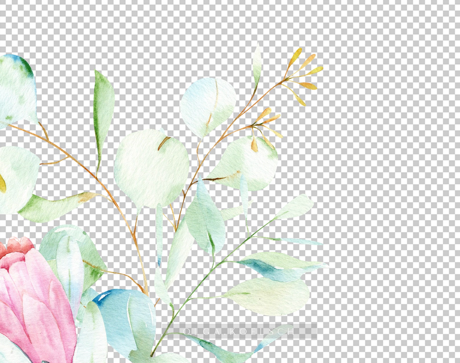 Watercolor Pink Floral Eucalyptus Clipart Tropical Protea - Etsy