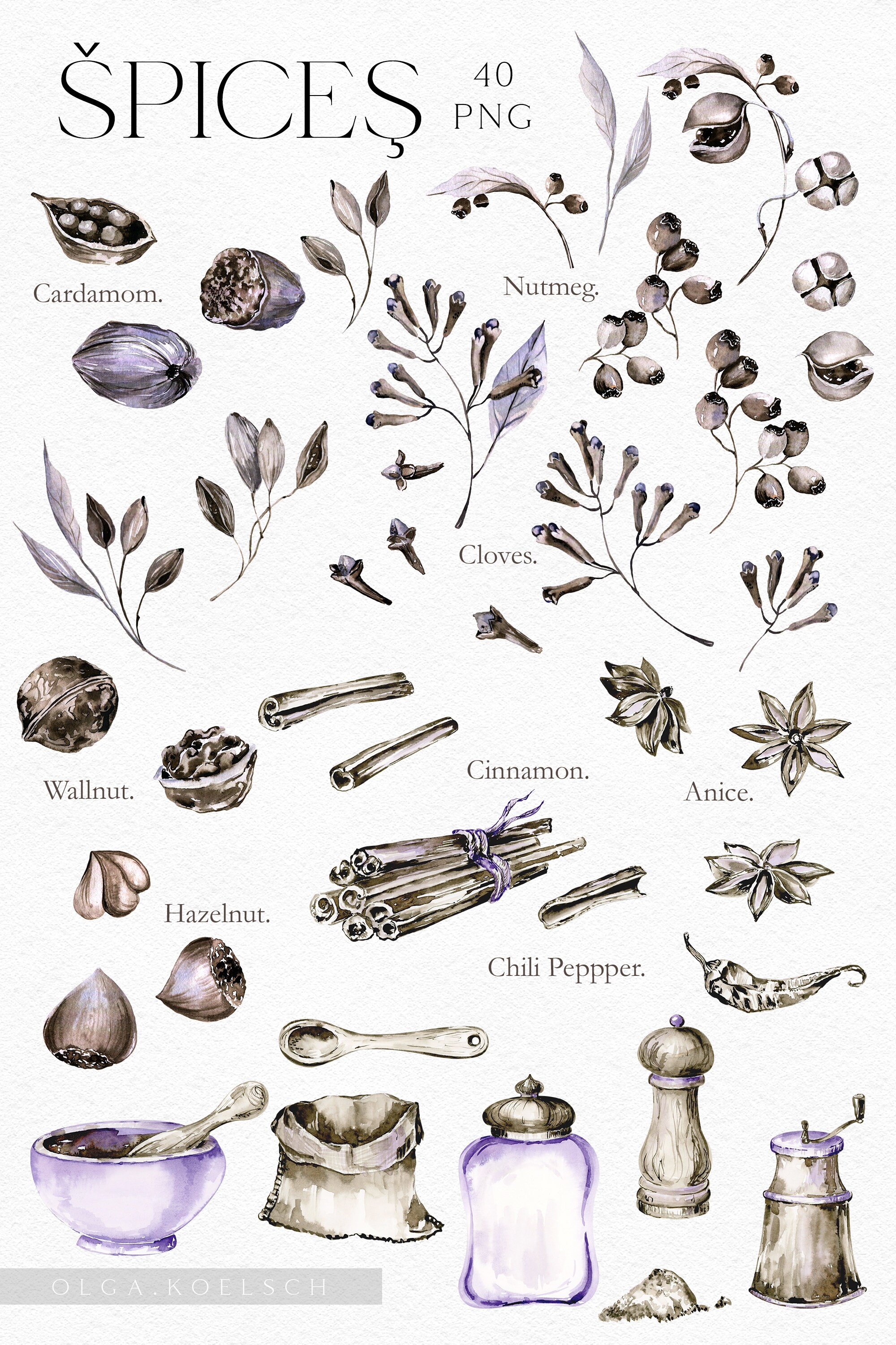 Spices Watercolor Clipart Kitchen Labels With Spices Png - Etsy