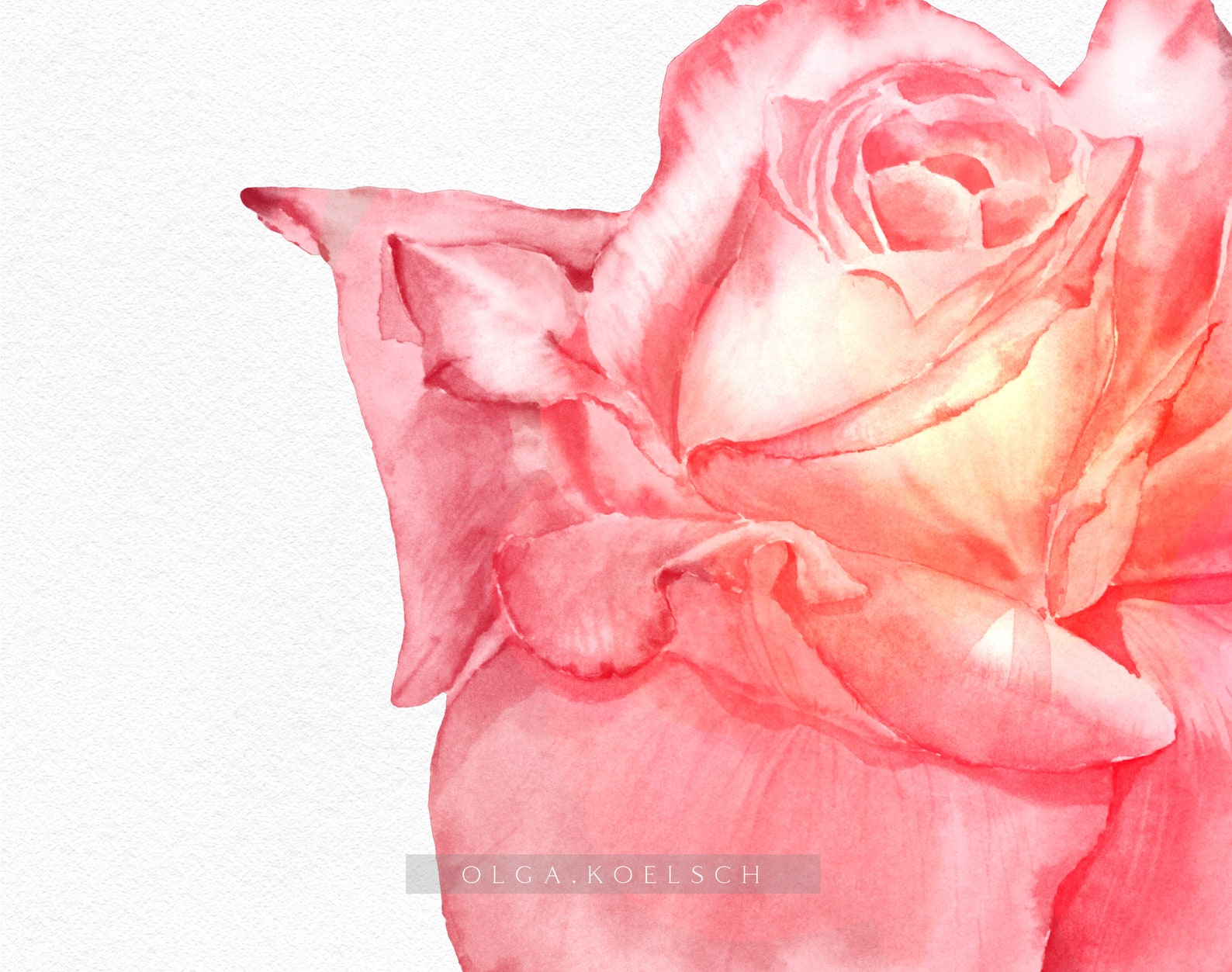 Watercolor Floral Clipart, Pink Roses, Sublimation Design - Etsy