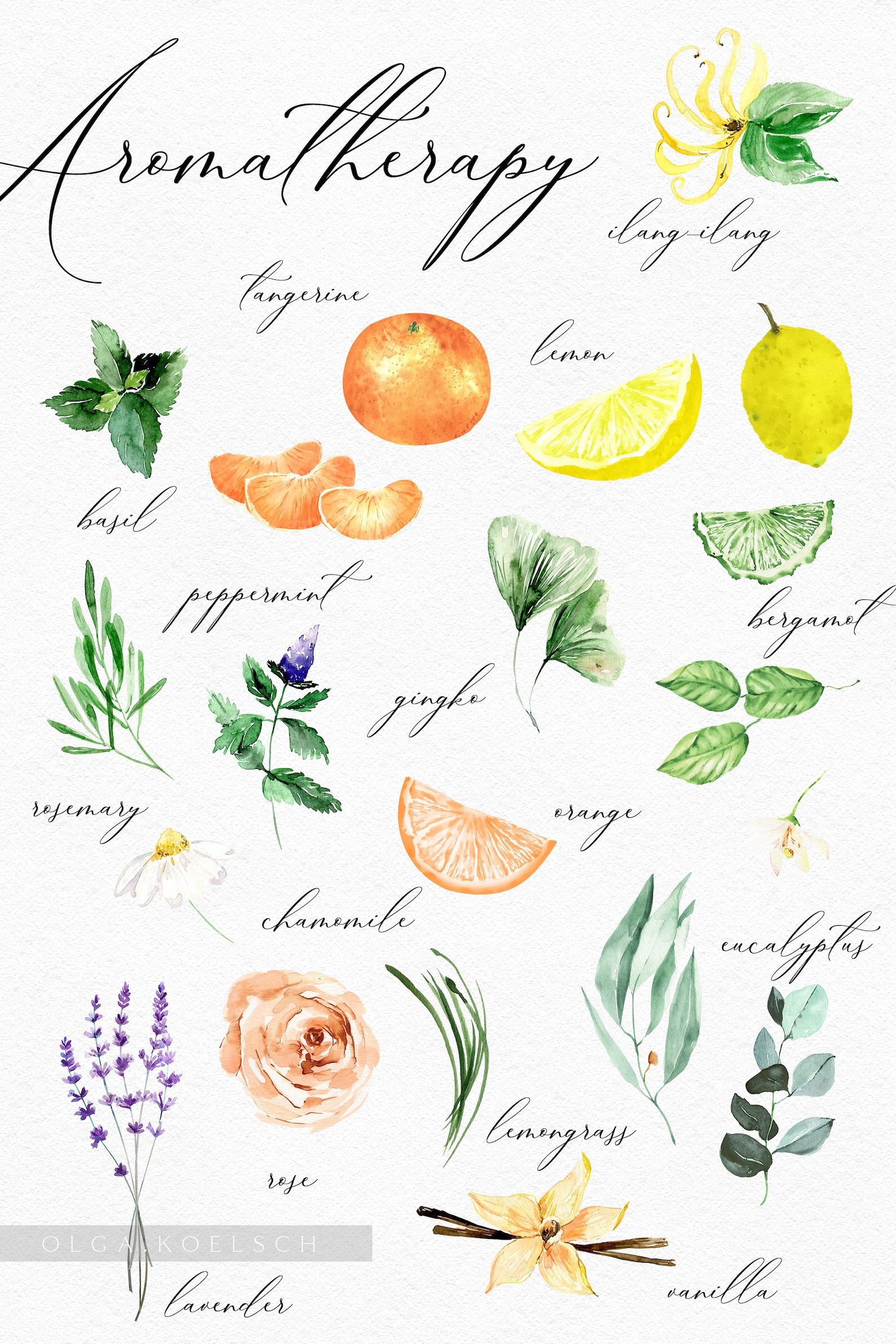 Watercolor Essential Oil Clipart Bottles and Herbs Clipart - Etsy