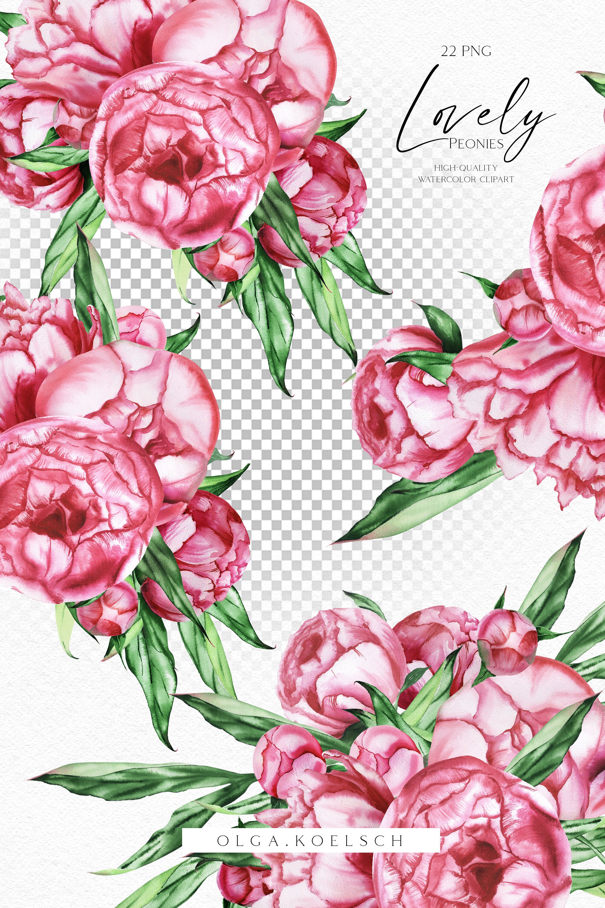 Watercolor Peony Clipart, Watercolor Pink Floral Borders Png, Pink ...