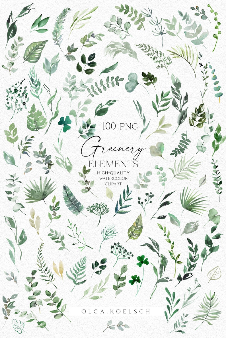 Watercolor Greenery Bundle Clipart Green Leaves Png Hand - Etsy