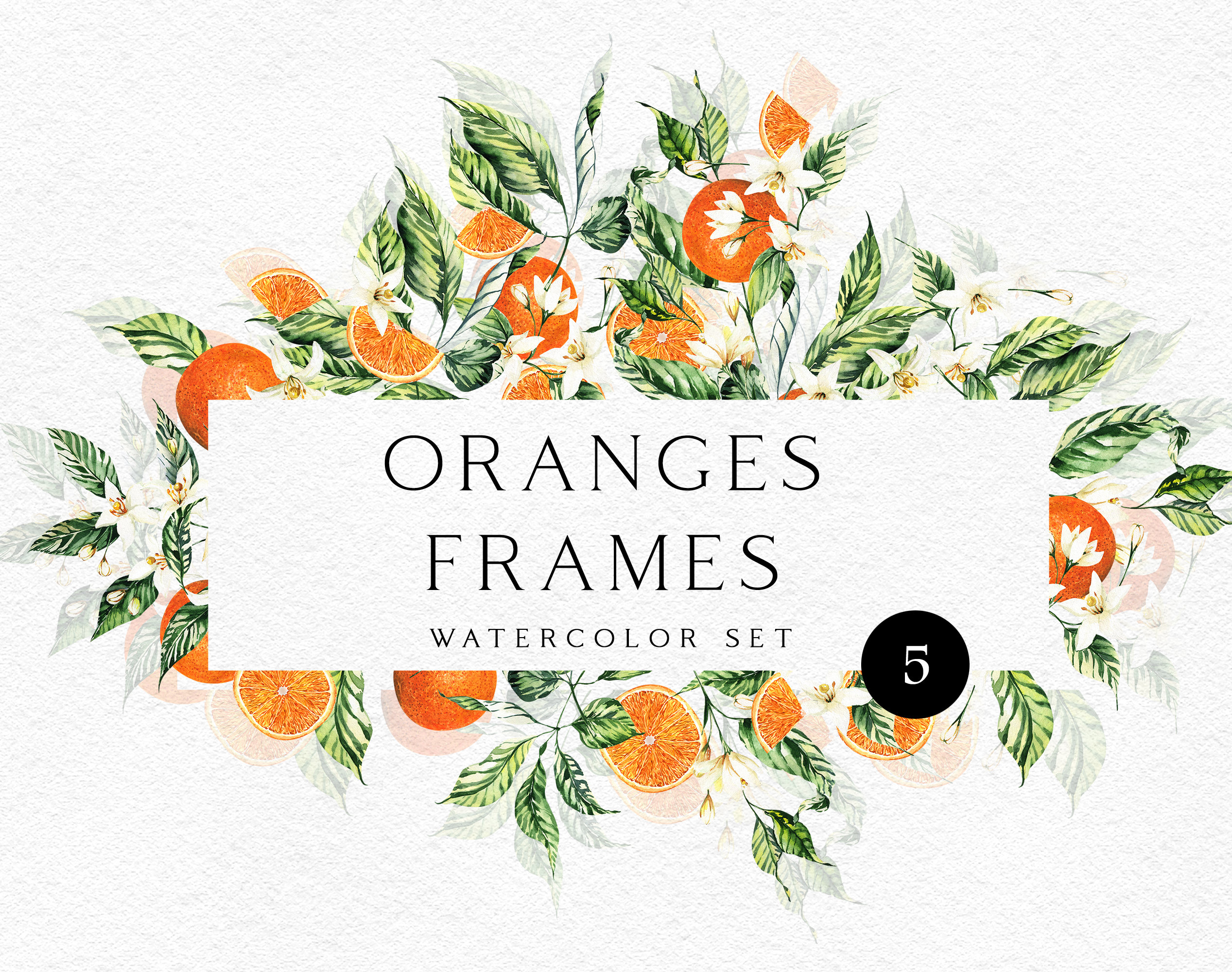 Watercolor Orange Clipart Citrus Frames for Summer Wedding - Etsy