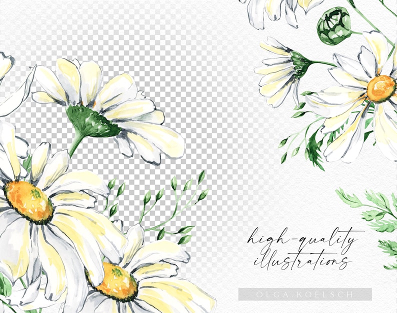 Watercolor Daisy Clipart, Boho Floral Wreath Png, Daisy Logo Png, White ...