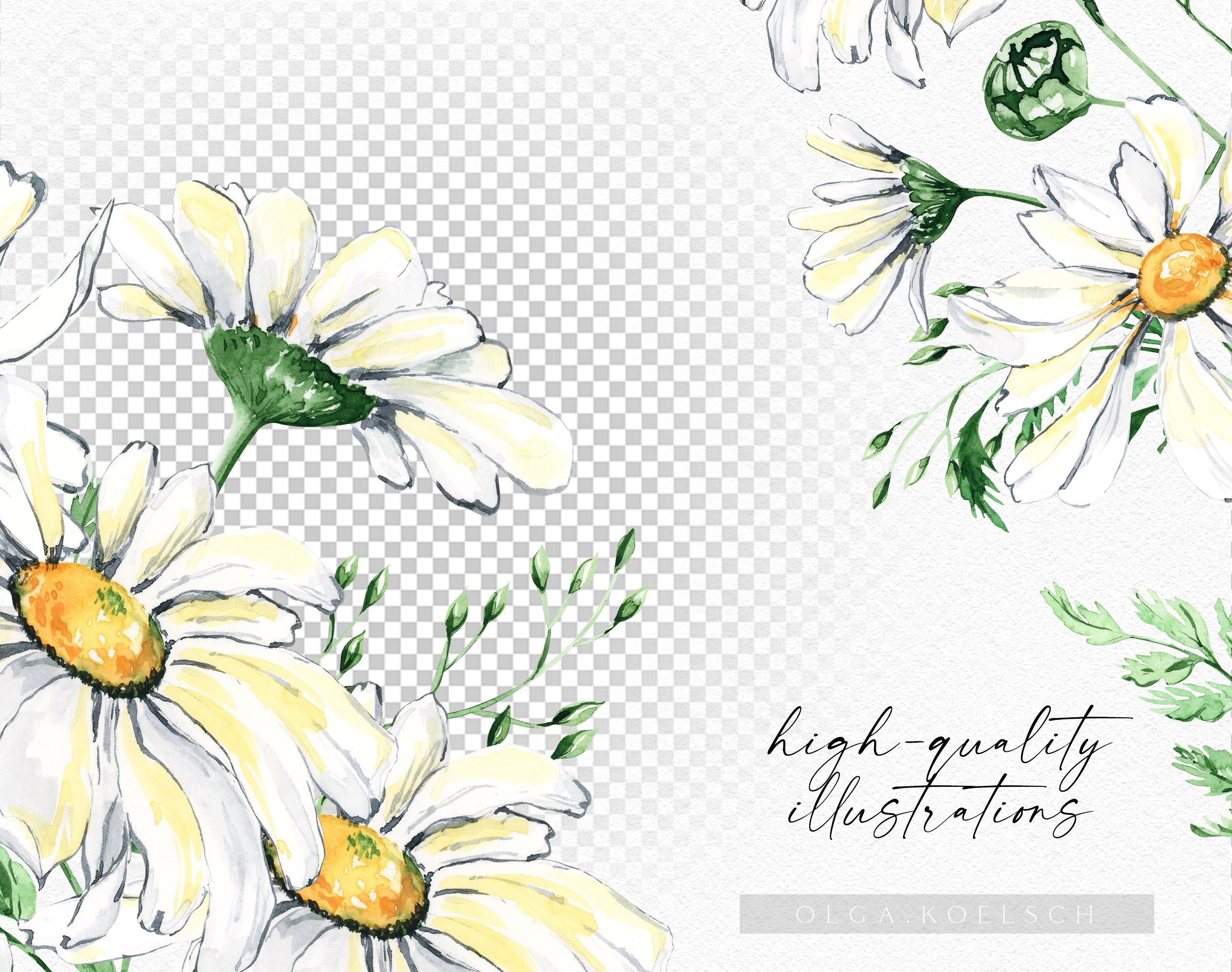 Watercolor Daisy Clipart, Boho Floral Wreath Png, Daisy Logo Png, White ...