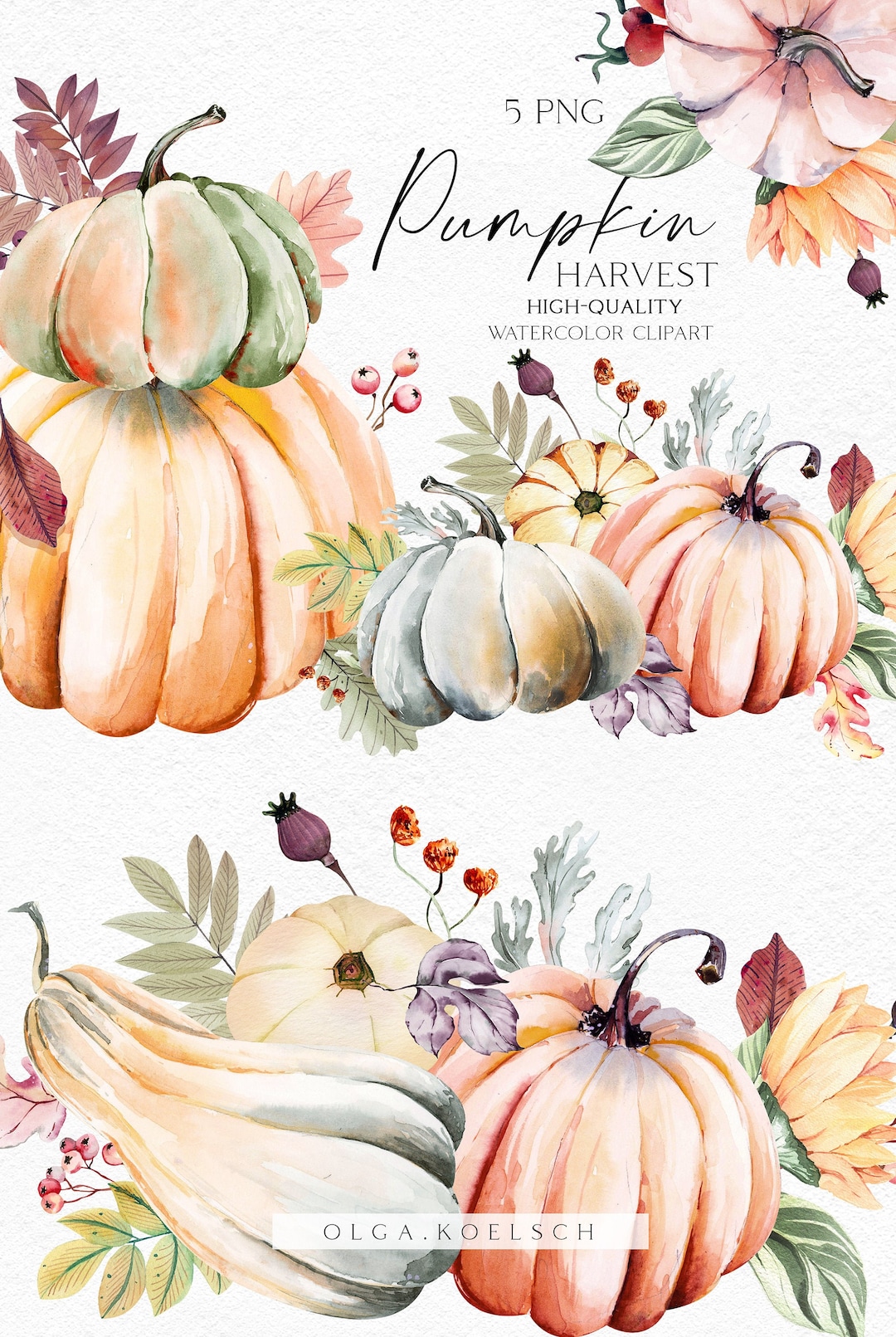 Watercolor Pumpkin Clipart, Fall Pumpkin Png, Garden Icons, Farmhouse ...