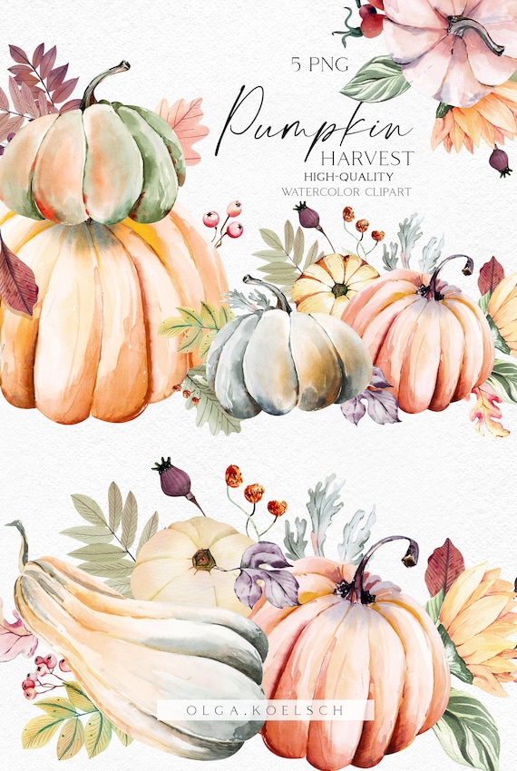 Watercolor Pumpkin Clipart Fall Pumpkin Png Garden Icons | Etsy