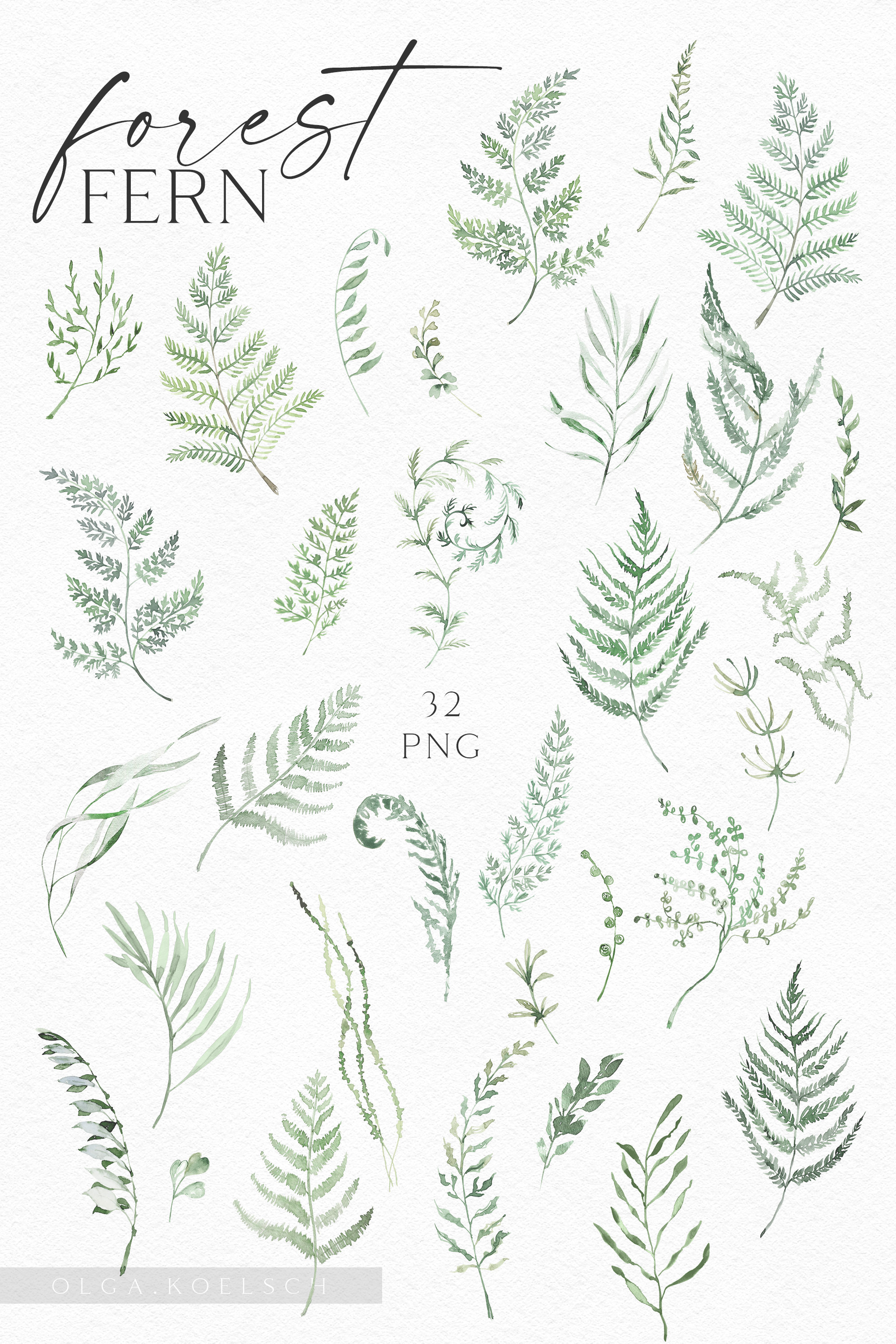 Watercolor Fern Clipart Greenery Clip Art for Wedding - Etsy