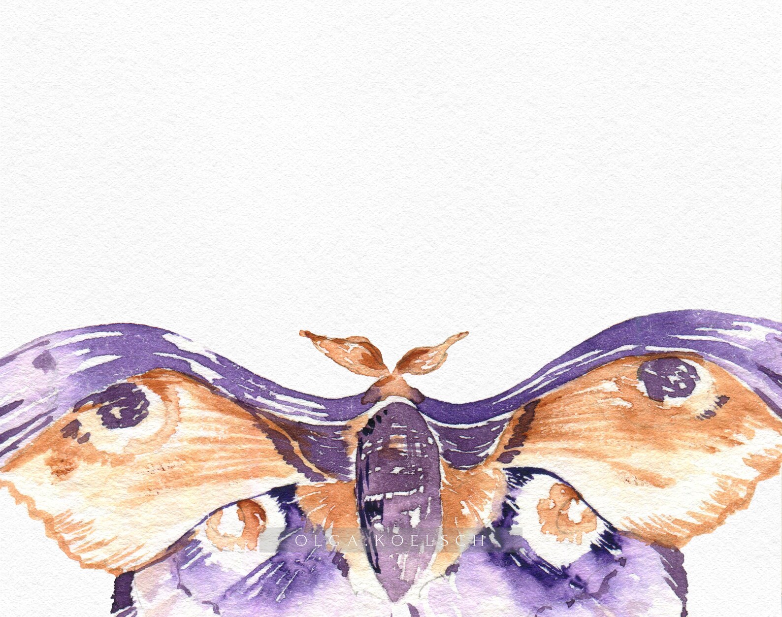 Watercolor Moth Clipart Purple Butterly Png Boho Digital | Etsy