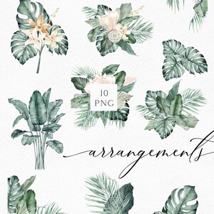 Boho Tropical Jungle Leaves Clipart, Hand Drawn Tropical Borders Png ...