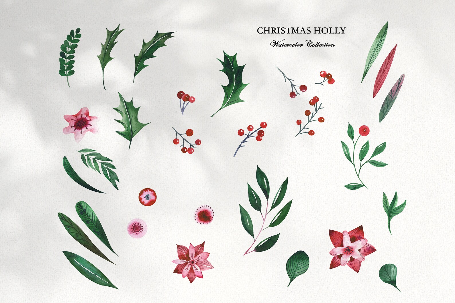 Watercolor Christmas Holly Clipart Red Christmas Graphics - Etsy