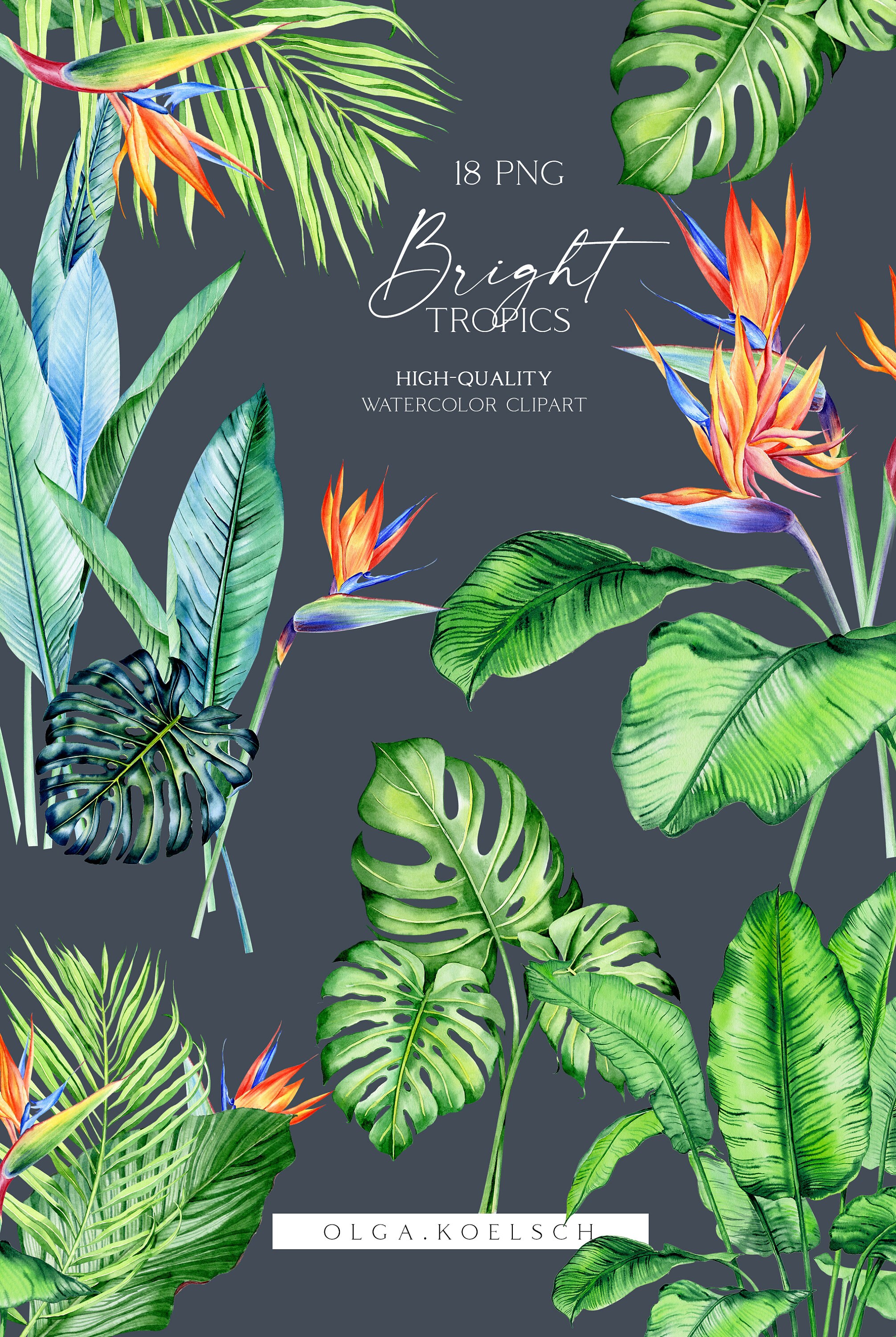 Watercolor Tropical Clipart. Greenery Palm Leaves Png - Etsy