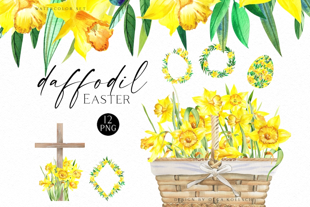 Watercolor Daffodil Clipart, March Birth Flower, Easter Basket Clipart ...