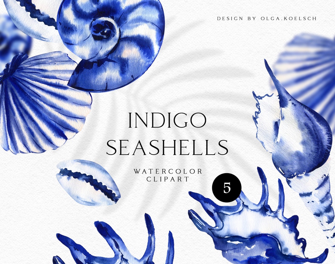 Watercolor Seashell Set Clipart. Blue Seashell Summer Clipart. Planner ...