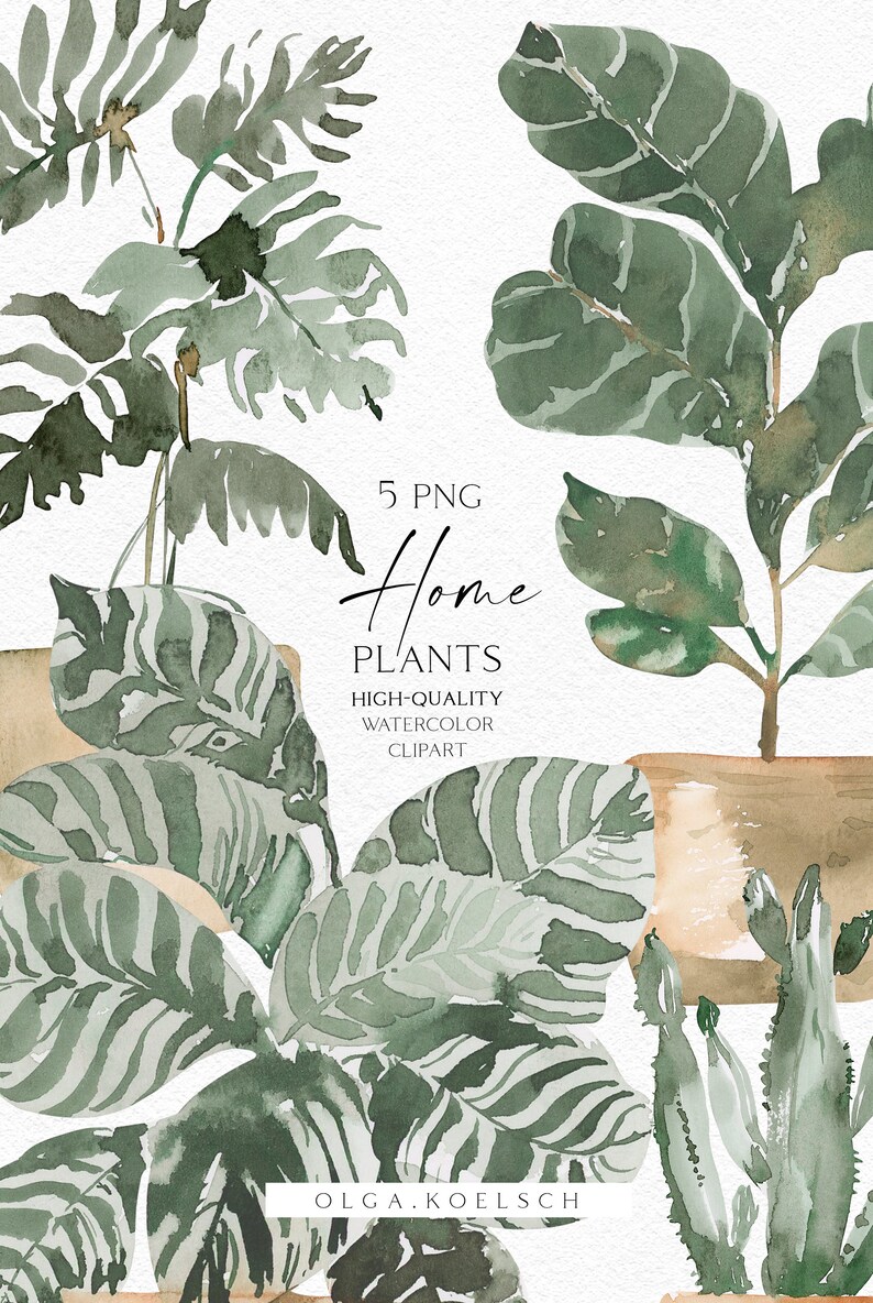 Watercolor Greenery Clipart Home Plants Png Green Leaves - Etsy