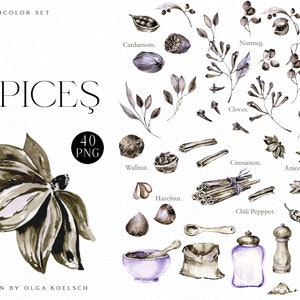 Spices Watercolor Clipart, Kitchen Labels With Spices Png, Cooking ...