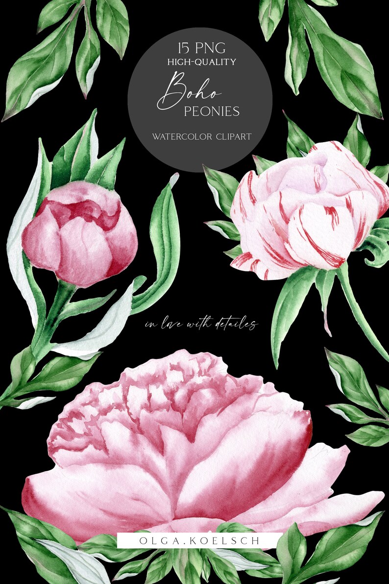 Watercolor Pink Peonies Clipart, Watercolor Boho Flowers Png, Floral ...