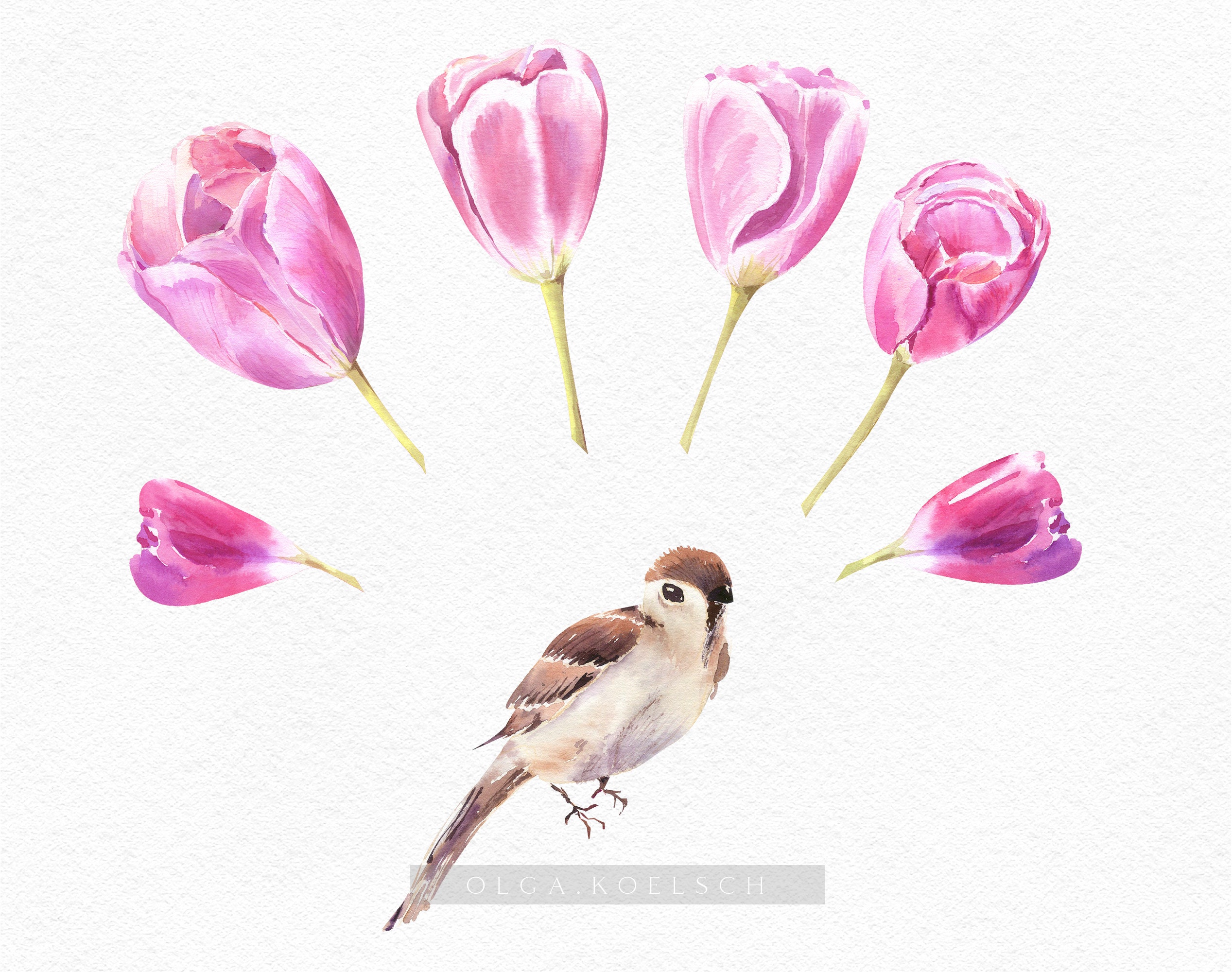 Watercolor Pink Tulip Clipart Easter Flowers Clip Art Pink - Etsy