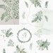 Sage Green Abstract Png Gold and Green Abstract Clipart - Etsy
