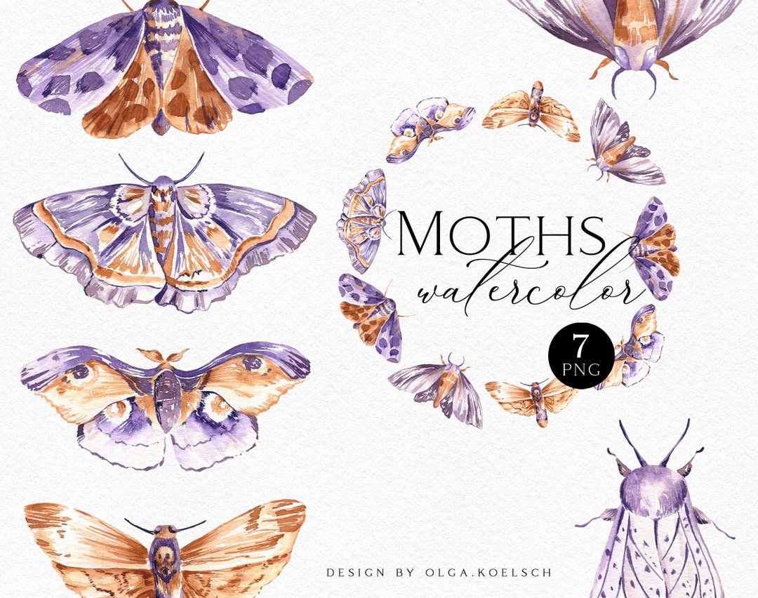 Watercolor Moth Clipart, Purple Butterly Png, Boho Digital Clipart for ...