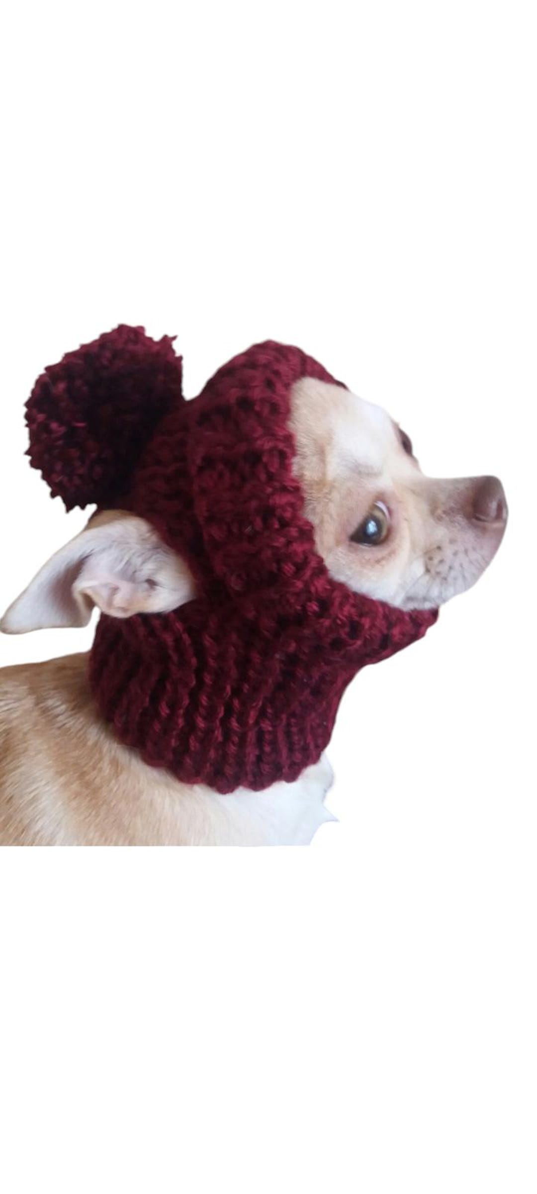 Dog Bobble Hat With Ear Holes. Puppy Hat. Dog Beanie Hat.dachshund ...