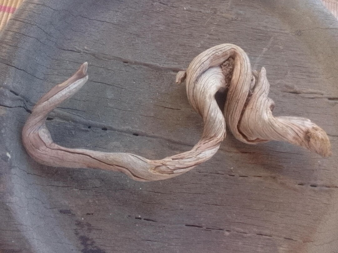 Natural,individual,unique Wood Shapes - Etsy