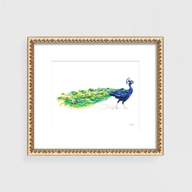Watercolor Peacock Painting - Etsy