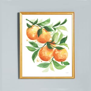 Oranges Watercolor Painting Fruit Artwork Citrus Orange and Green ...