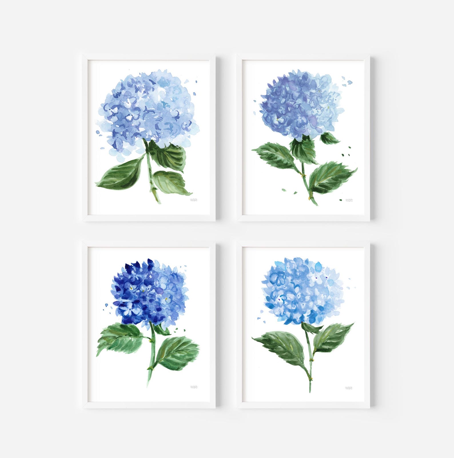 Hydrangea Prints, Cute Watercolor Illustrated Blue Hydrangea Botanical ...