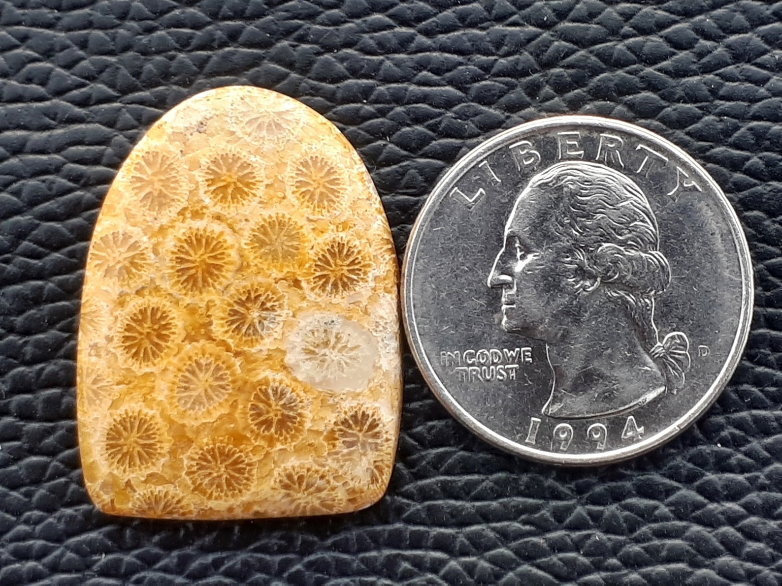 Fossil Coral Agate Loose Cabochon Gemstones Natural Jasper | Etsy