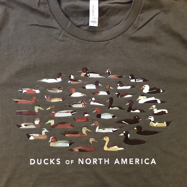Ducks of North America - Etsy