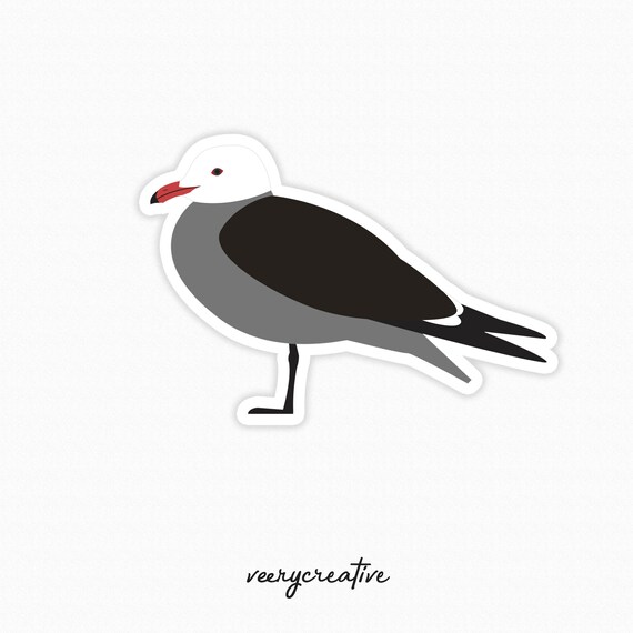 Heermann's Gull Sticker - Etsy