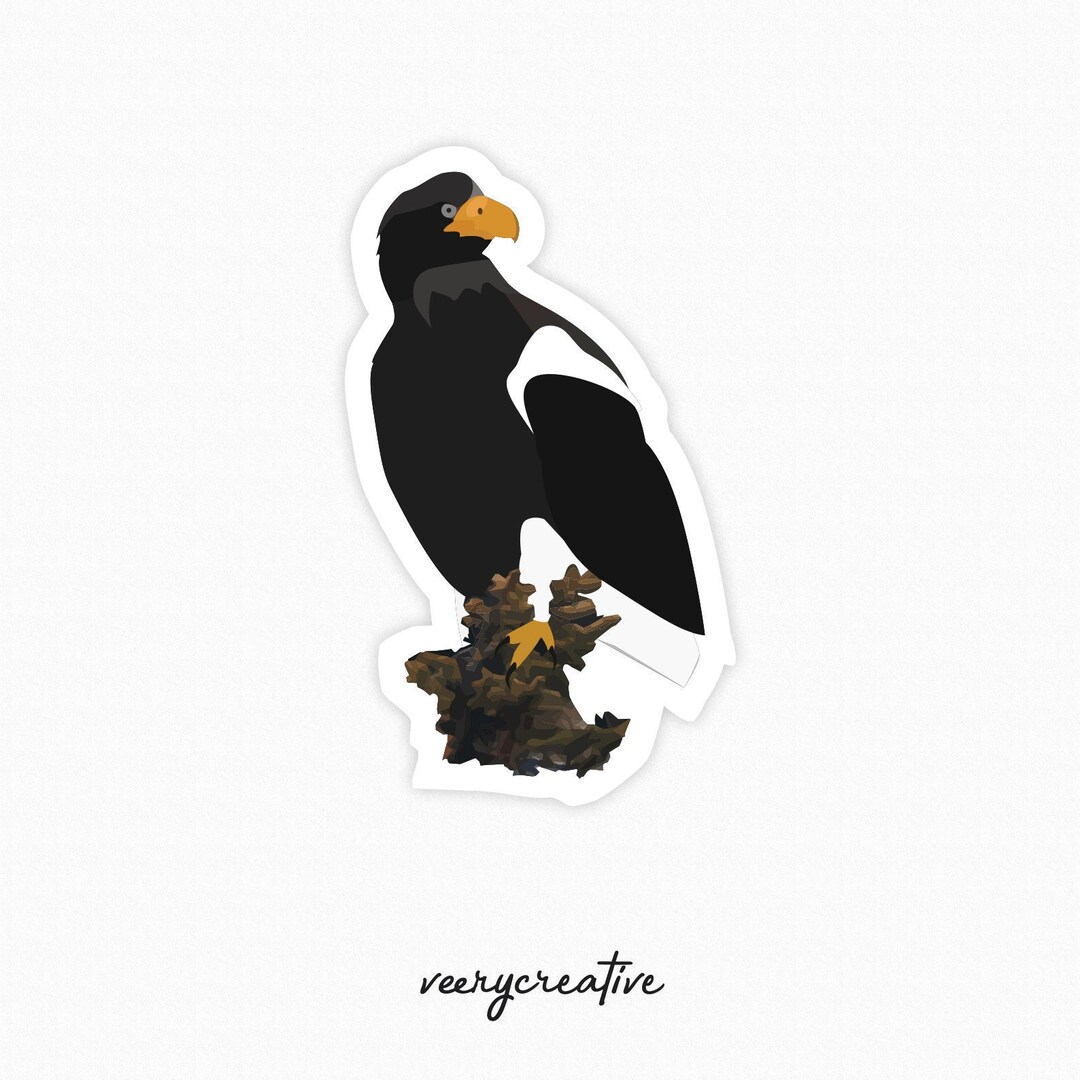 Steller's Sea-eagle Sticker, Rare Vagrant Steller's Sea-eagle! - Etsy