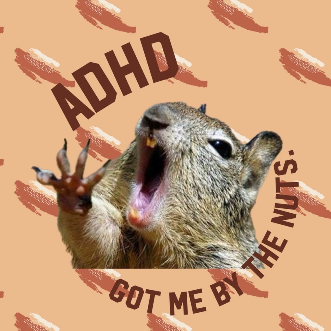 ADHD squirrel - Etsy