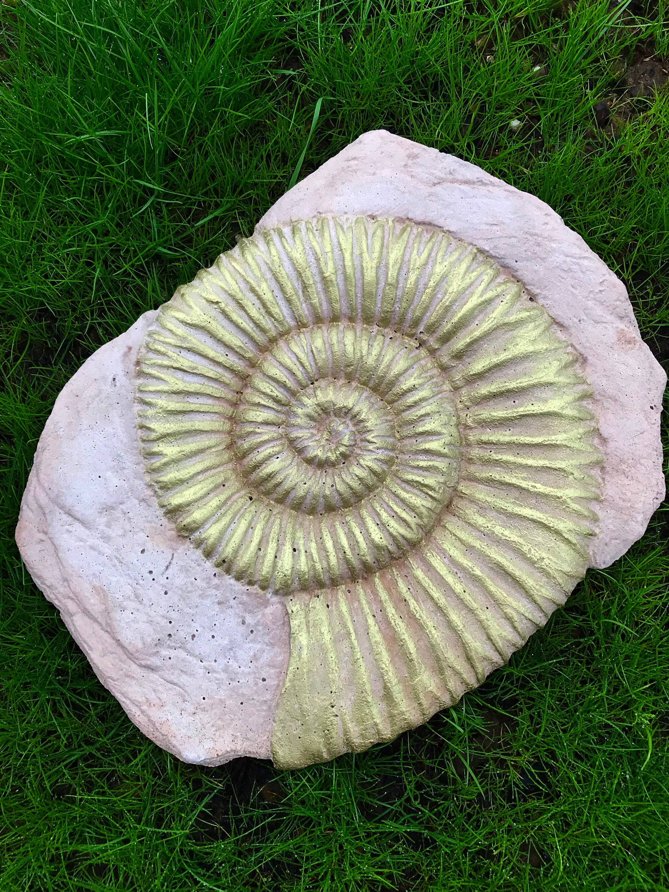 Gold Ammonite Fossil Stepping Stone - Etsy UK