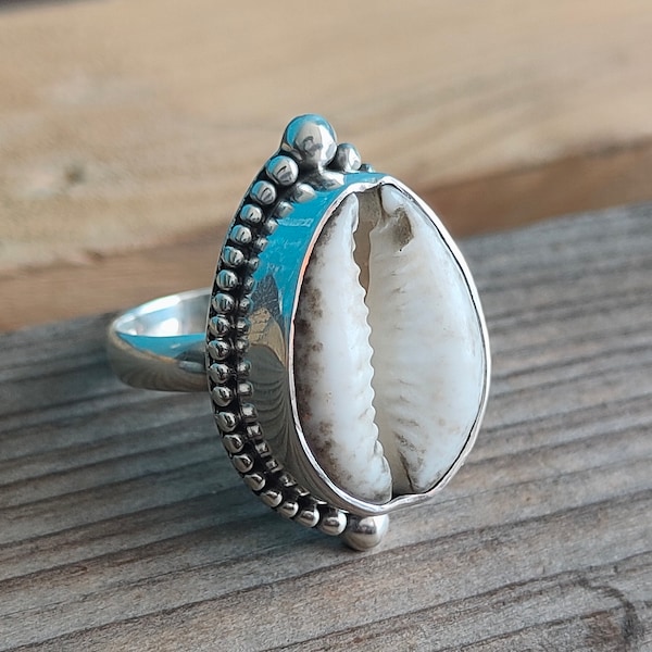 Cowrie - Etsy