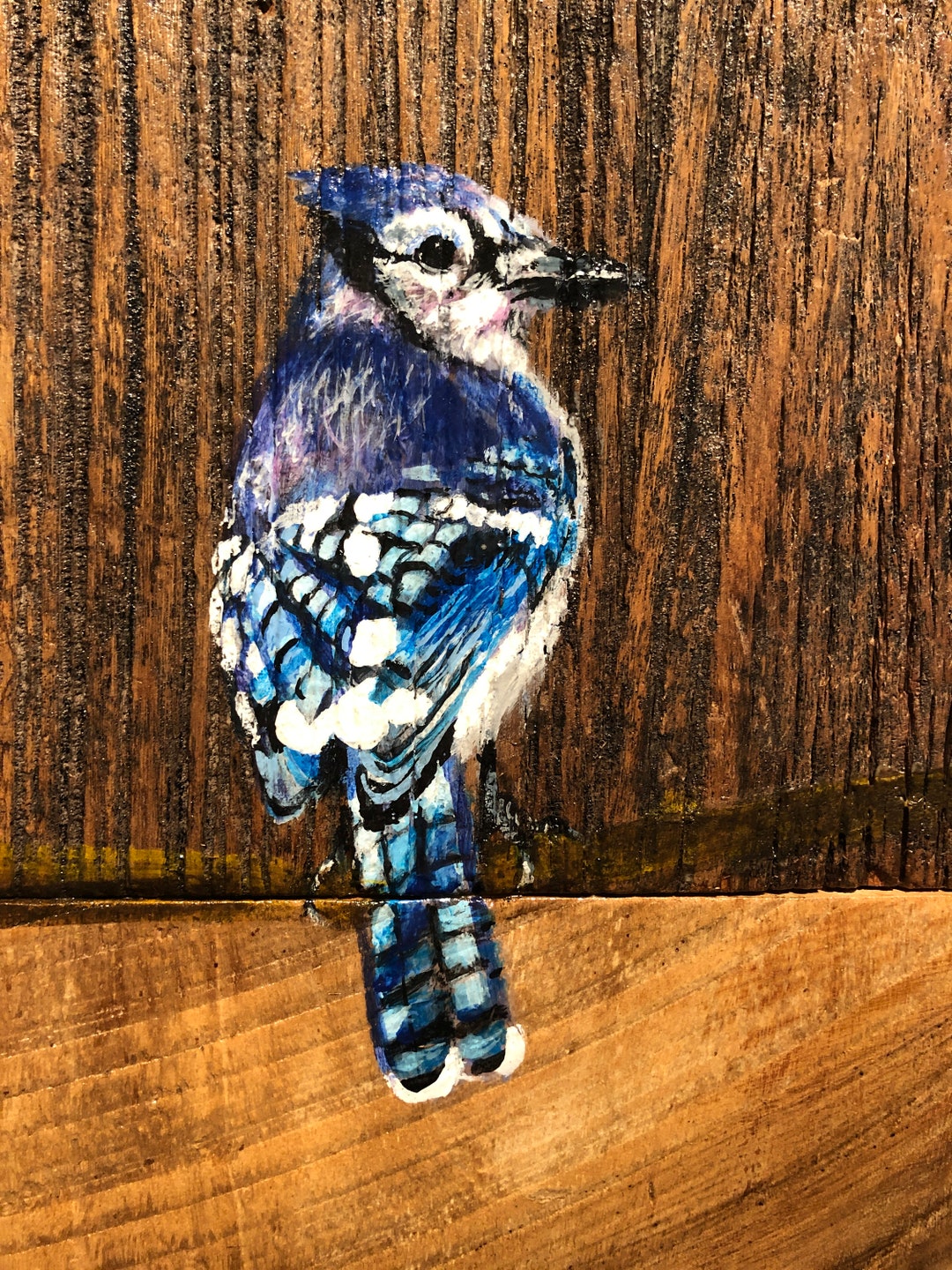 Blue Jay on Salvaged Barn Wood - Etsy